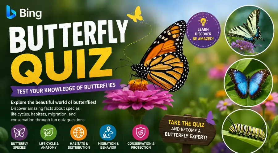 Popular On Bing - Quiz & Bing Visual Search, Daily Wallpaper, Trending News